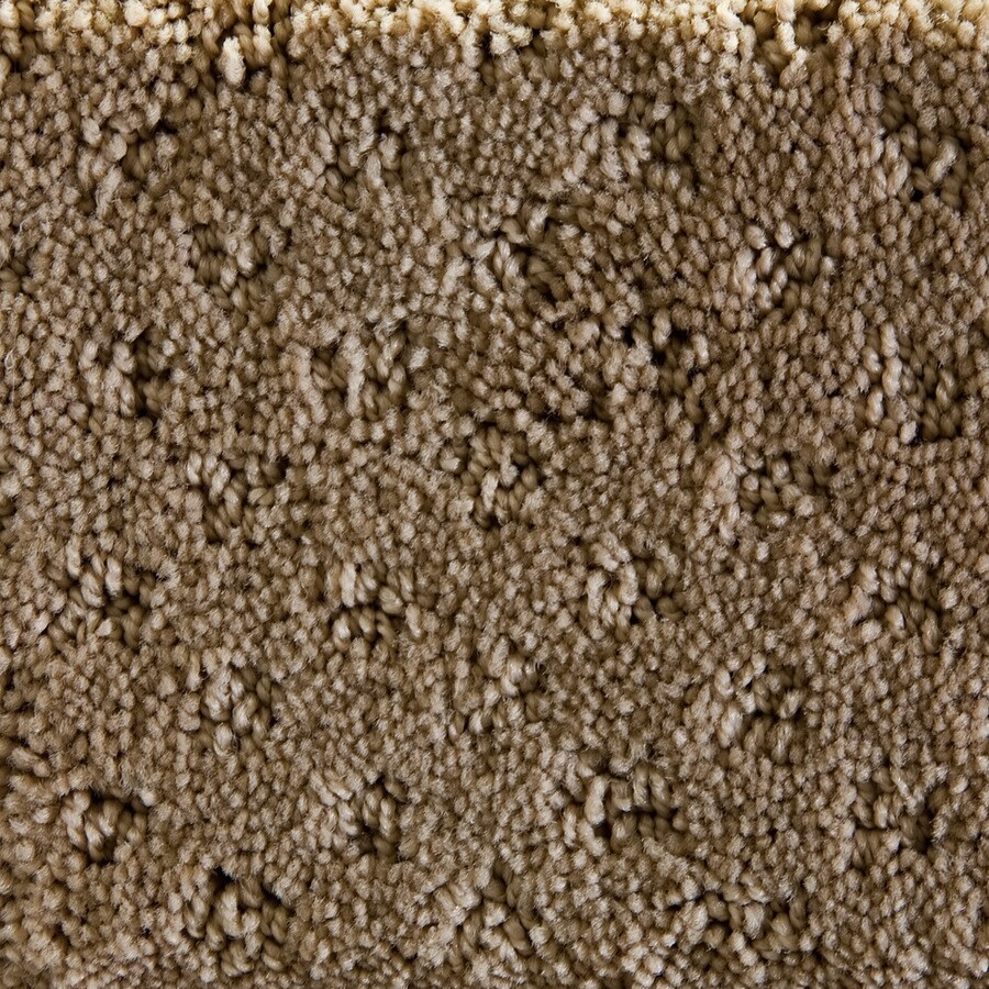 STAINMASTER Calypso This Kiss Carpet Sample at Lowes.com