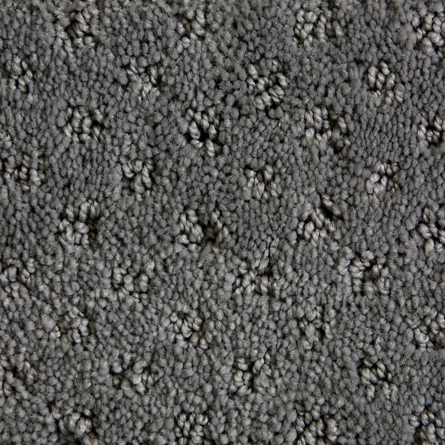 STAINMASTER Presidio Sweet It Is Carpet Sample at Lowes.com