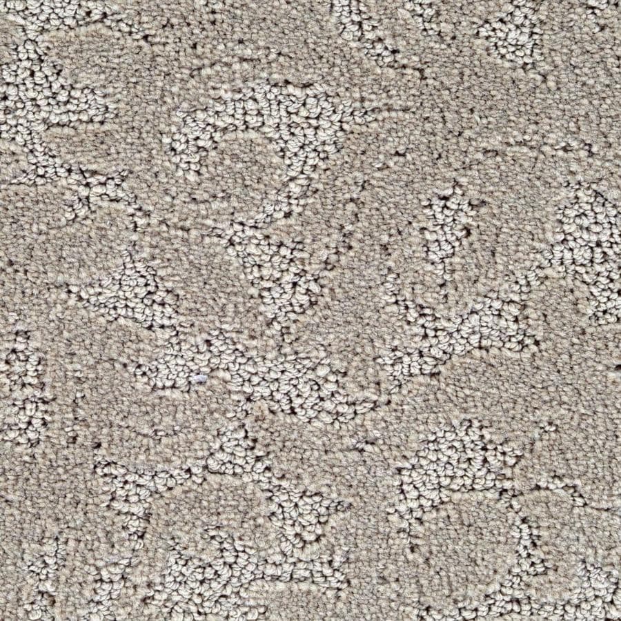 STAINMASTER Active Family Duration Dream Lover Carpet Sample at Lowes.com