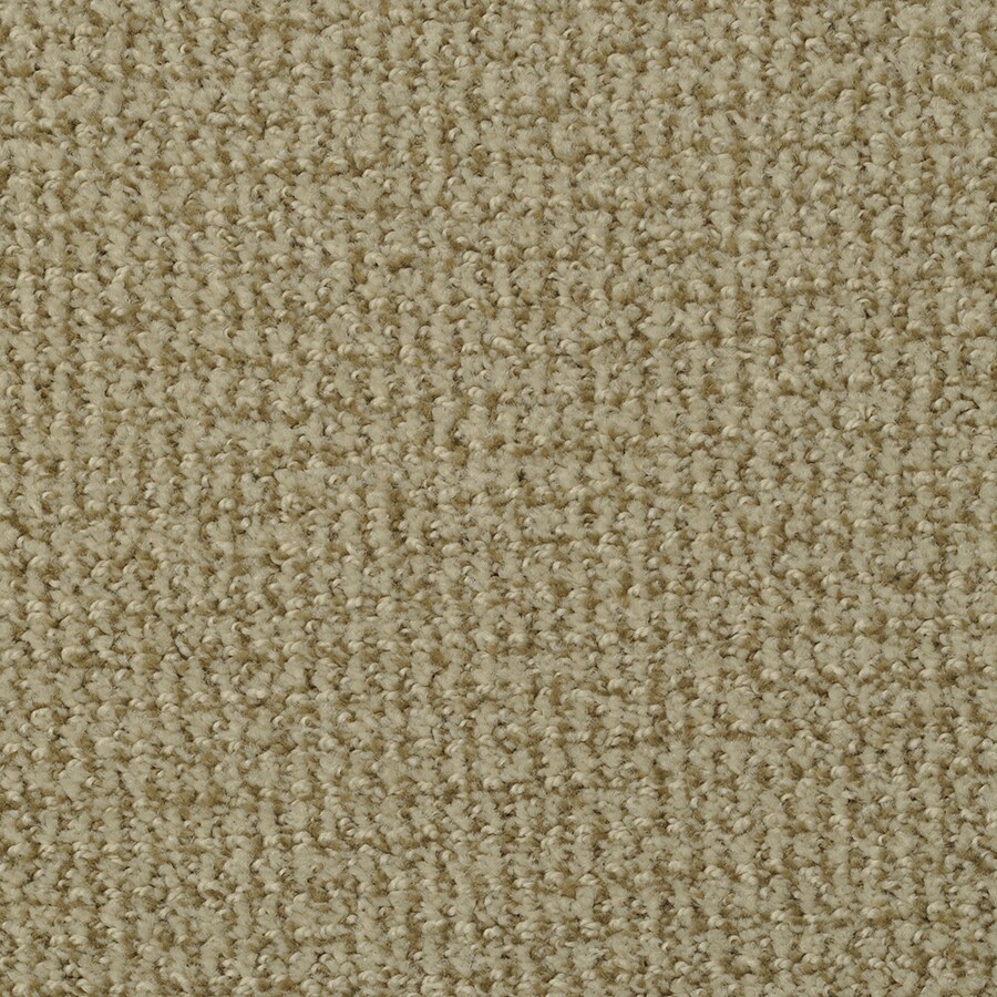 STAINMASTER Morning Jewel Active Family Mega Cut and Loop Carpet Sample ...