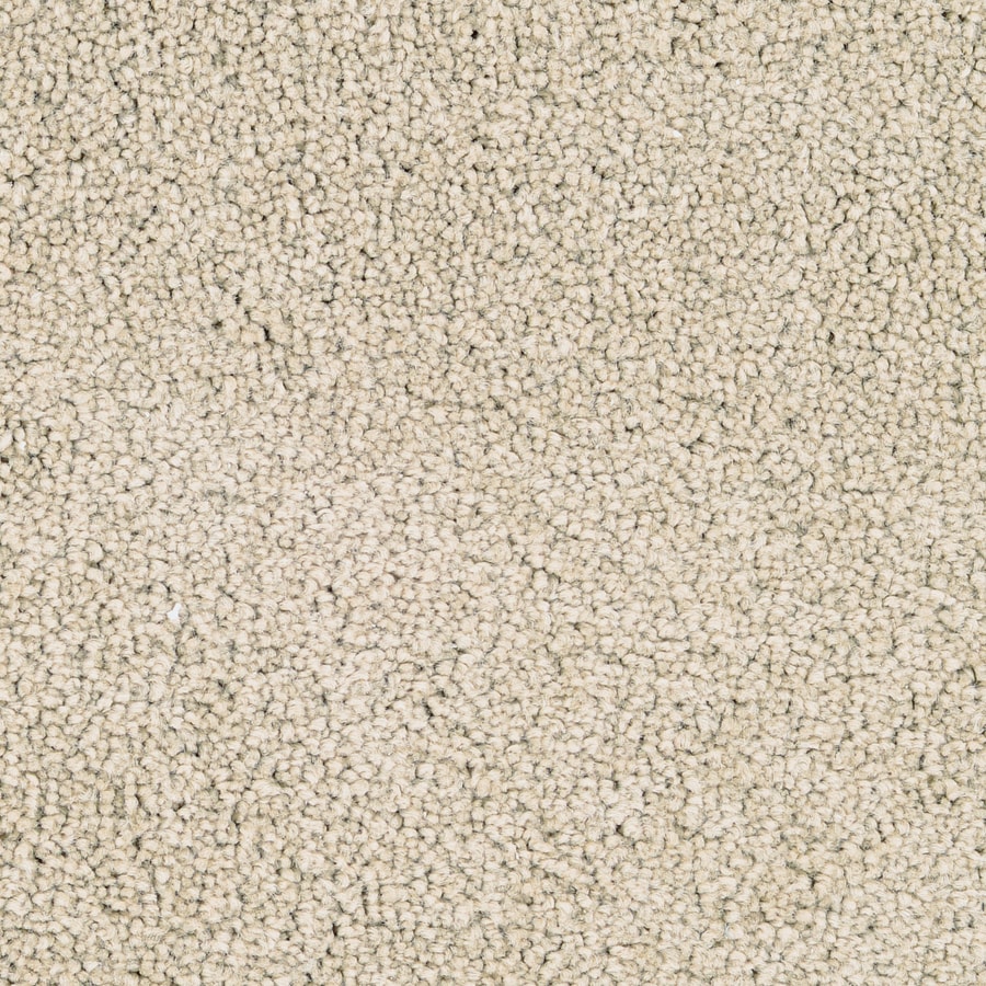 STAINMASTER Active Family Stellar Colony Carpet Sample at Lowes.com