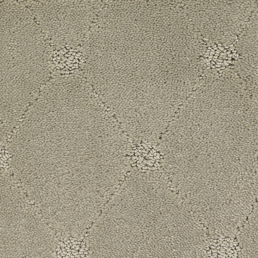 STAINMASTER Columbia Valley TruSoft Gray/Silver Cut and Loop Carpet Sample at Lowes.com