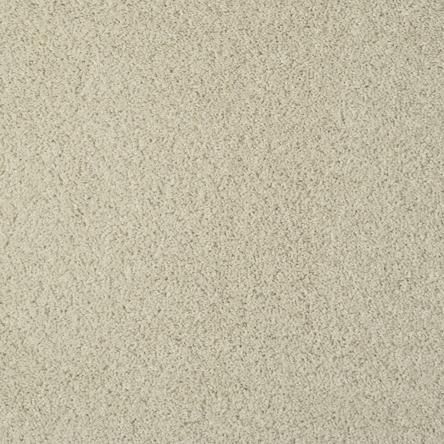 STAINMASTER TruSoft Best of Class Pepper Spice Carpet Sample at Lowes.com