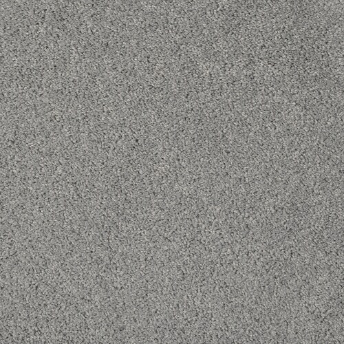 STAINMASTER TruSoft Best of Class Hour Glass Carpet Sample at Lowes.com