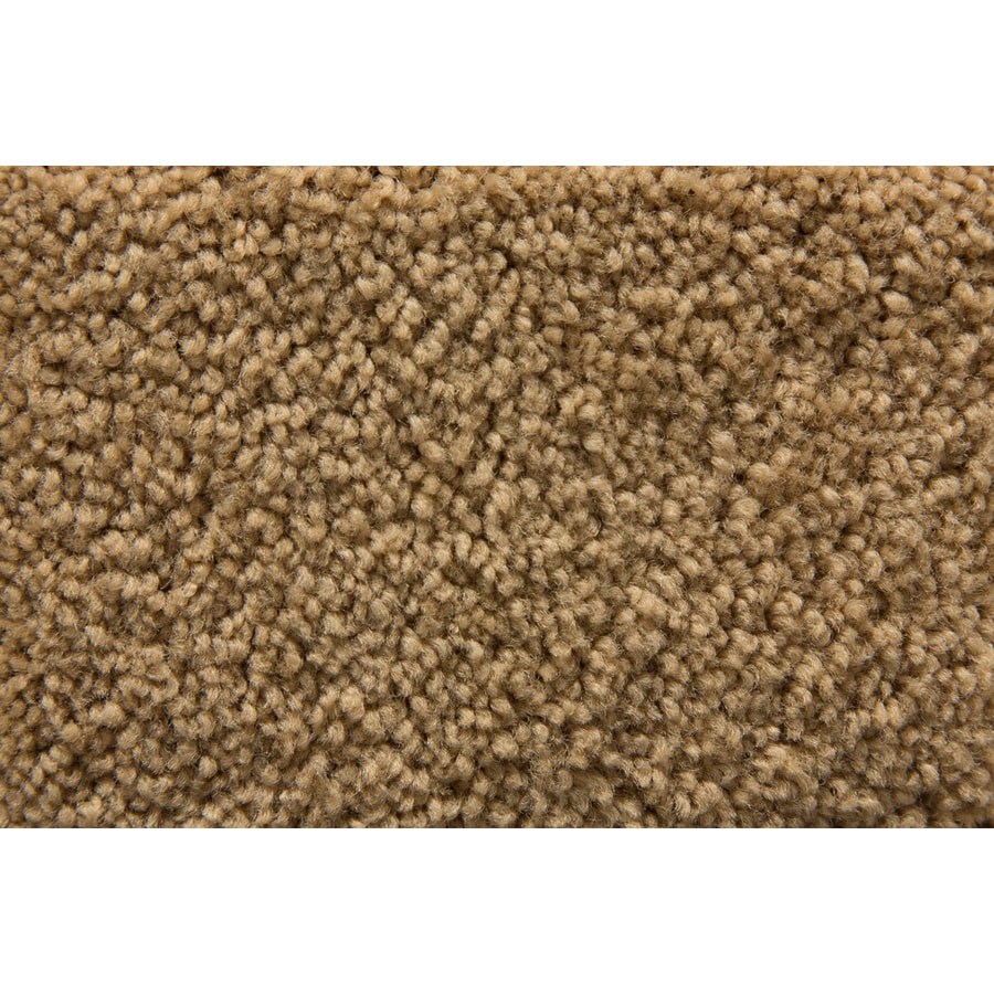 STAINMASTER (Sample) Active Family Savoy Suede Plush Carpet at Lowes.com