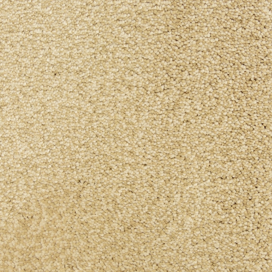 STAINMASTER Entranced PetProtect Cotton Frieze Carpet Sample at Lowes.com
