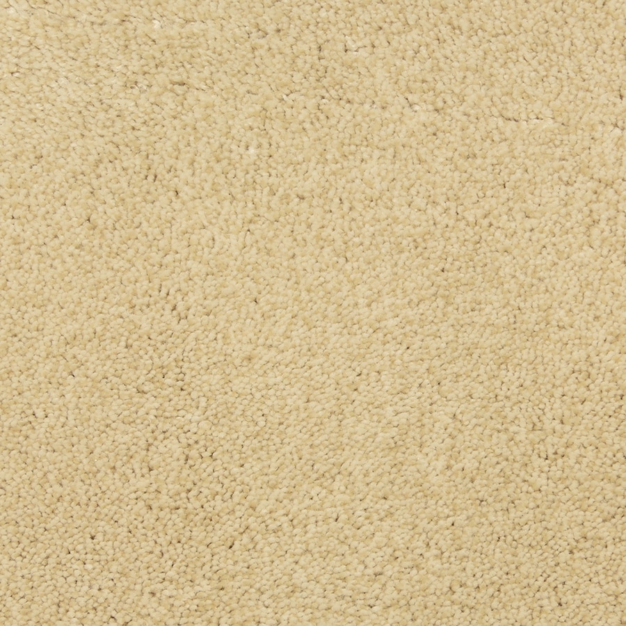 STAINMASTER PetProtect Hypnotized Cream Carpet Sample at Lowes.com