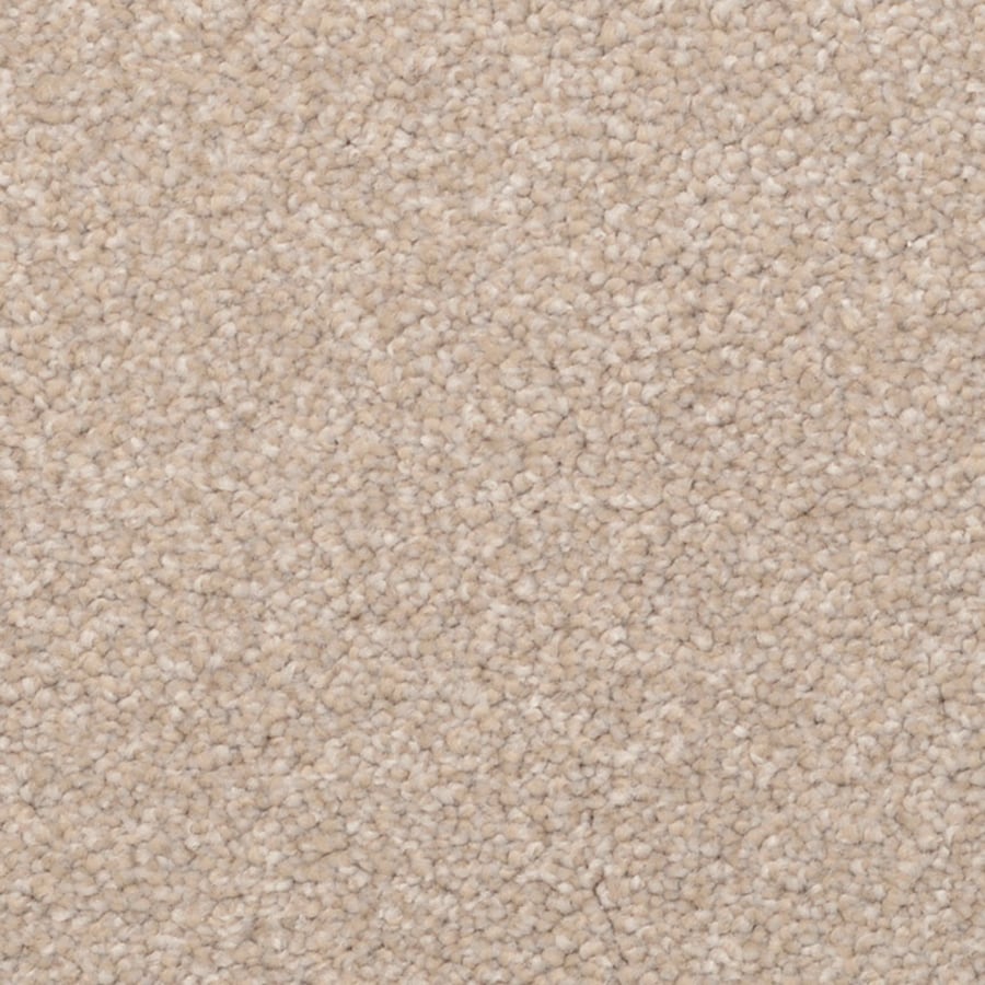 STAINMASTER Excursion PetProtect Bellview Frieze Carpet Sample at Lowes.com