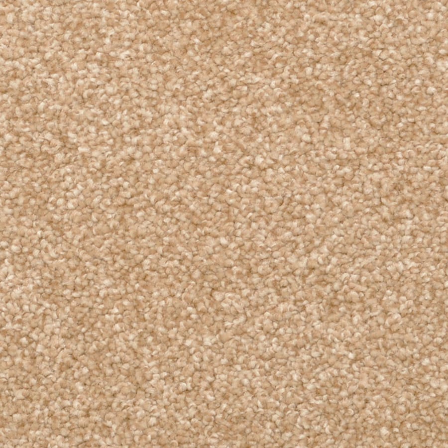 STAINMASTER Excursion PetProtect Tampa Frieze Carpet Sample at Lowes.com