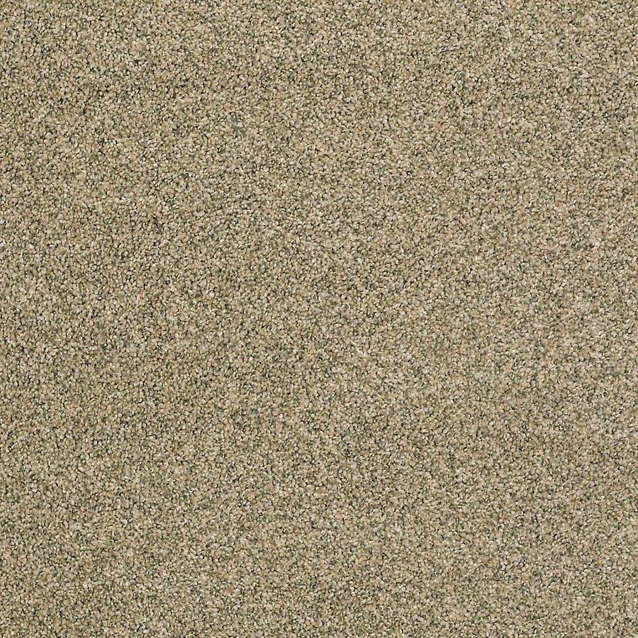 STAINMASTER PetProtect Shameless II Oyster Shell Carpet Sample at Lowes.com