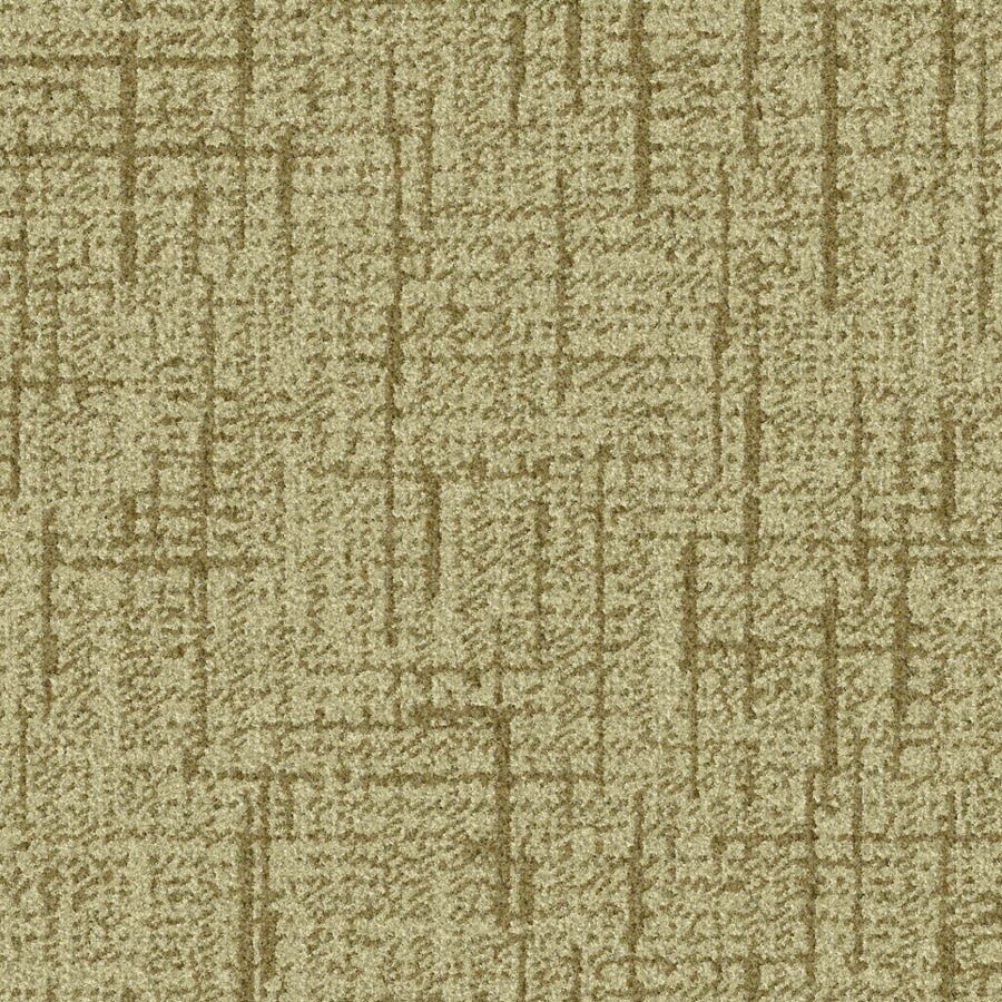 STAINMASTER Stature Essentials Sandstone Cut and Loop Carpet Sample at ...