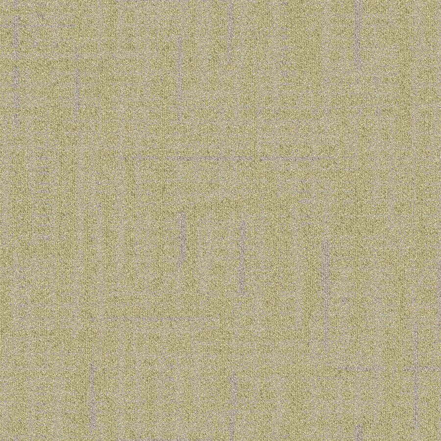 STAINMASTER (Sample) Essentials Presence Oats Berber/Loop Carpet at ...