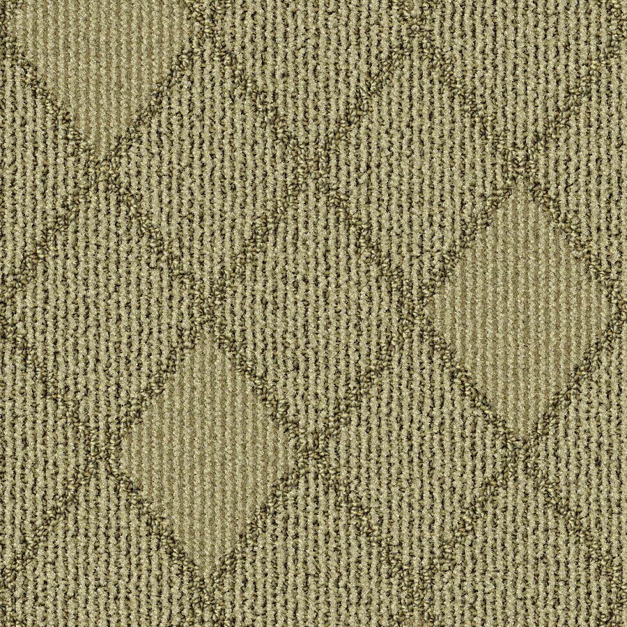 STAINMASTER Insignia Essentials Sandstone Cut and Loop Carpet Sample at ...