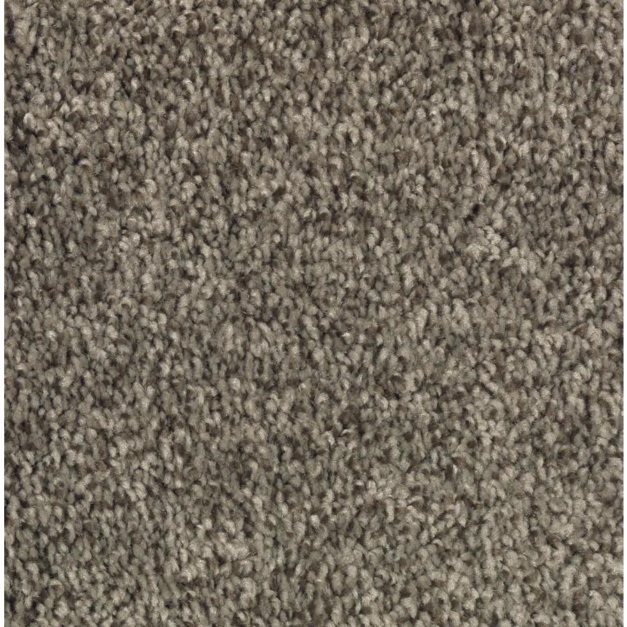 STAINMASTER Essentials Tonal Design Walnut Shell Carpet Sample at Lowes.com