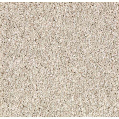 STAINMASTER Essentials Tonal Design Cloudy Sunset Carpet Sample at ...