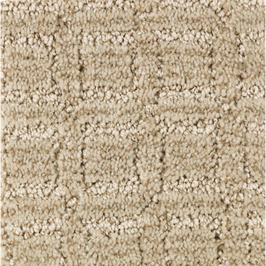 STAINMASTER Essentials Fashion Walk Belgian Linen Carpet Sample at ...