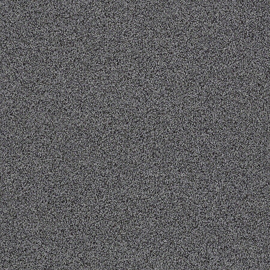 STAINMASTER LiveWell Vigorous I Authoritive Grey Carpet Sample at Lowes.com