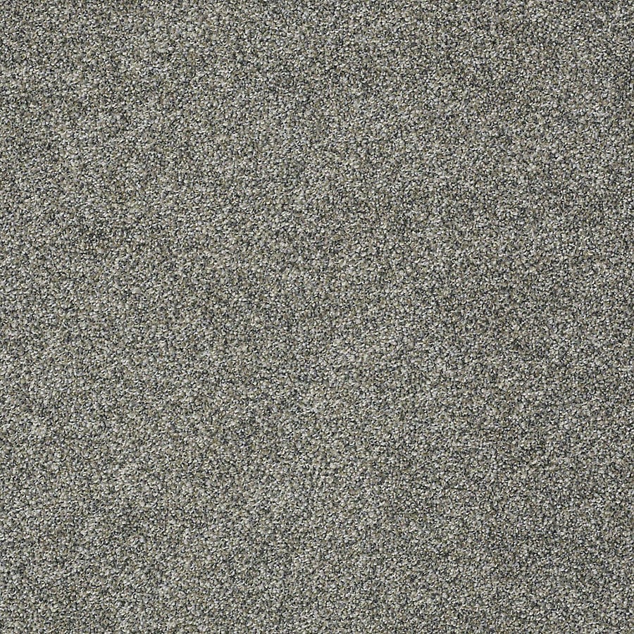 STAINMASTER PetProtect Bark to the Future II Windy City Carpet Sample ...