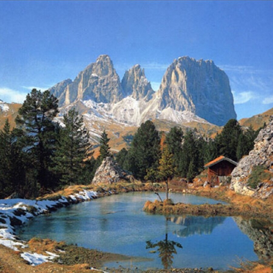 Astek SOS ASTEK WALLCOVERING in the Wall Murals department at Lowes.com