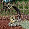 Design Toscano Outbreak Of The Undead Zombie Sculpture at Lowes.com