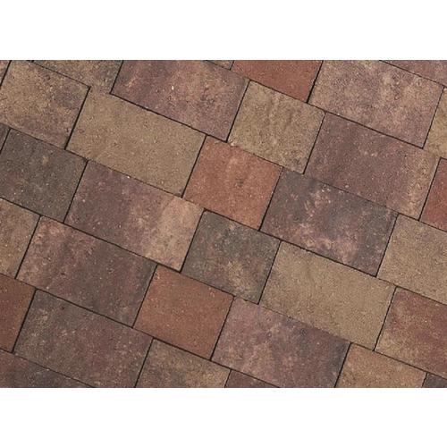 CastleLite Century Stone 11-in L x 8-in W x 2-in H Concrete Paver in ...