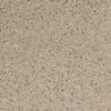 Allen + roth Cortina Quartz Kitchen Countertop Sample at Lowes.com