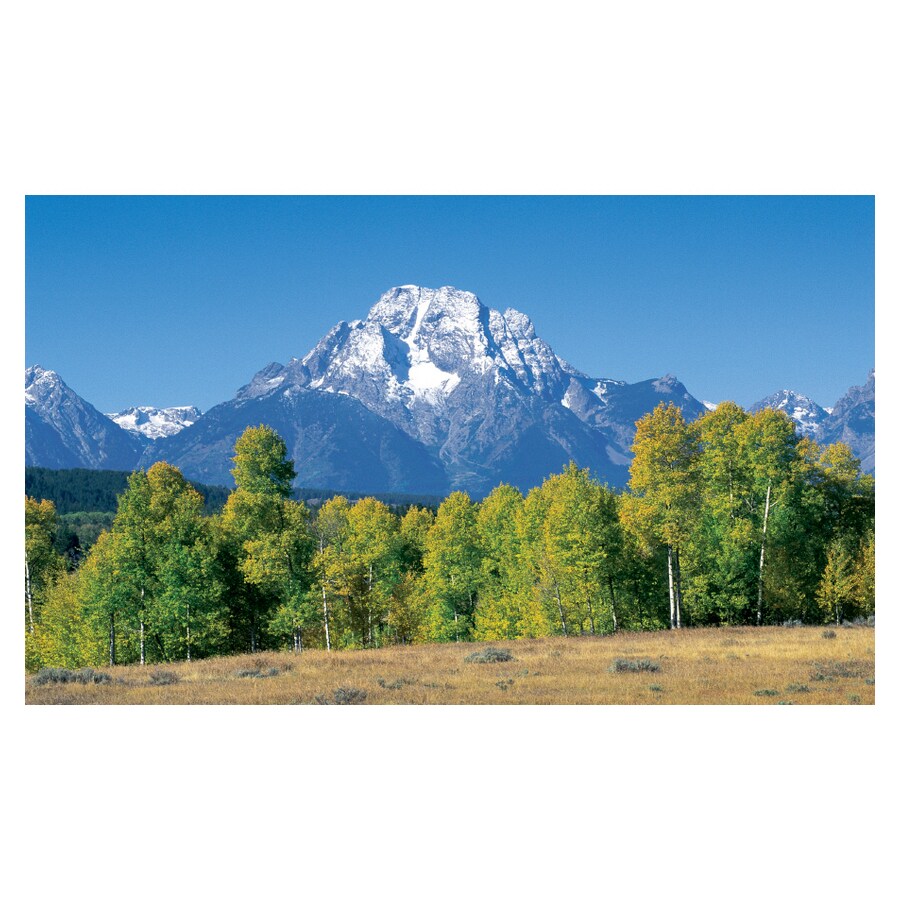 Window Well Scenes 100" x 60" Window Well Liner in the Window Well ...