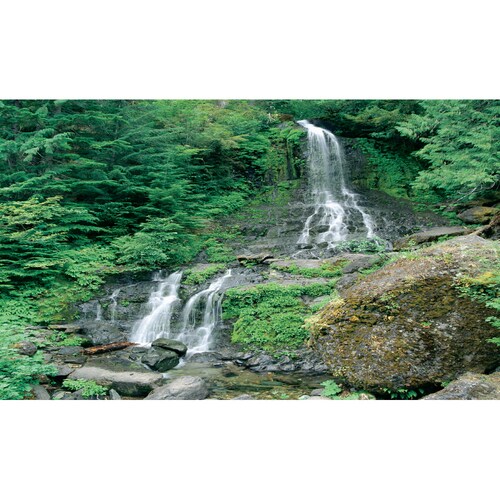 Window Well Scenes 100" x 60" Window Well Liner at Lowes.com