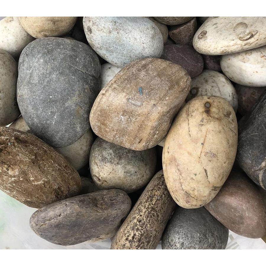 Longleaf Packaging Brown River Rock in the Landscaping Rock department ...