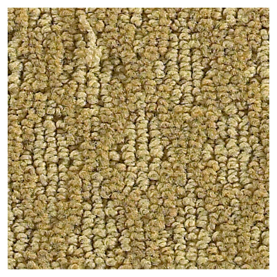 Dixie Group Active Family Simple Select Tan Carpet at Lowes.com