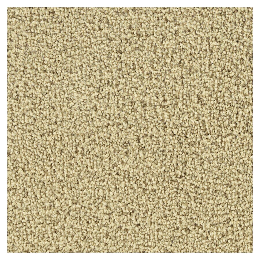 Dixie Group Active Family Simple Select Veil White Carpet at Lowes.com