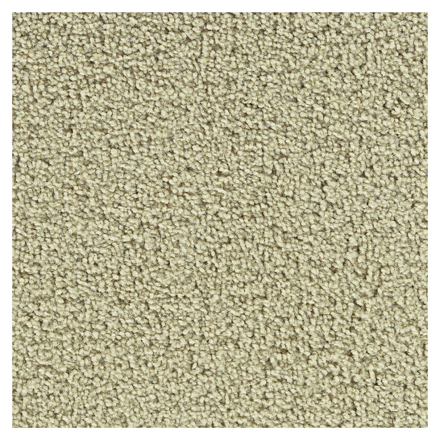 Dixie Group Active Family Simple Select Pecan Brittle Carpet at Lowes.com