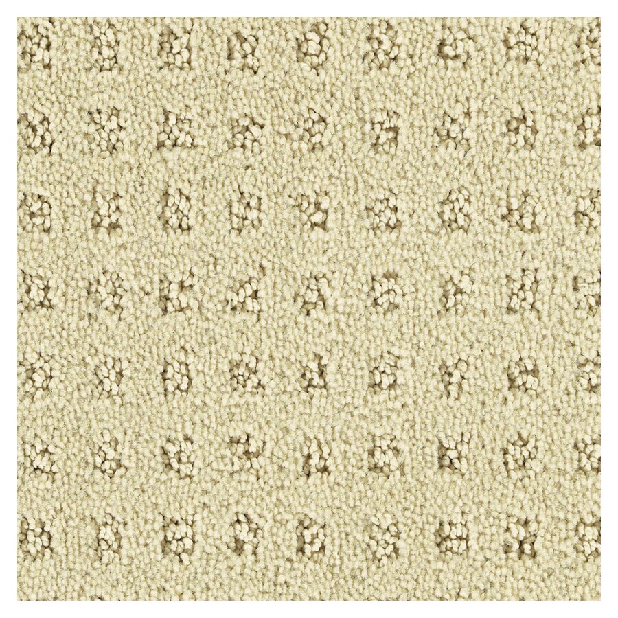 Dixie Group White Carpet at Lowes.com