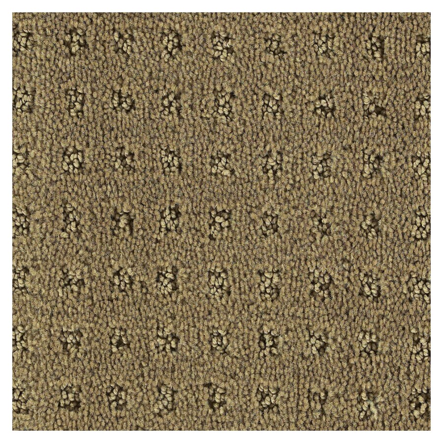 Dixie Group Dove Beige Carpet at Lowes.com