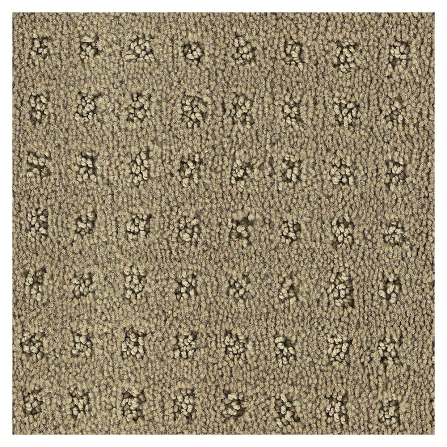 Dixie Group Vanilla Cream Carpet at Lowes.com
