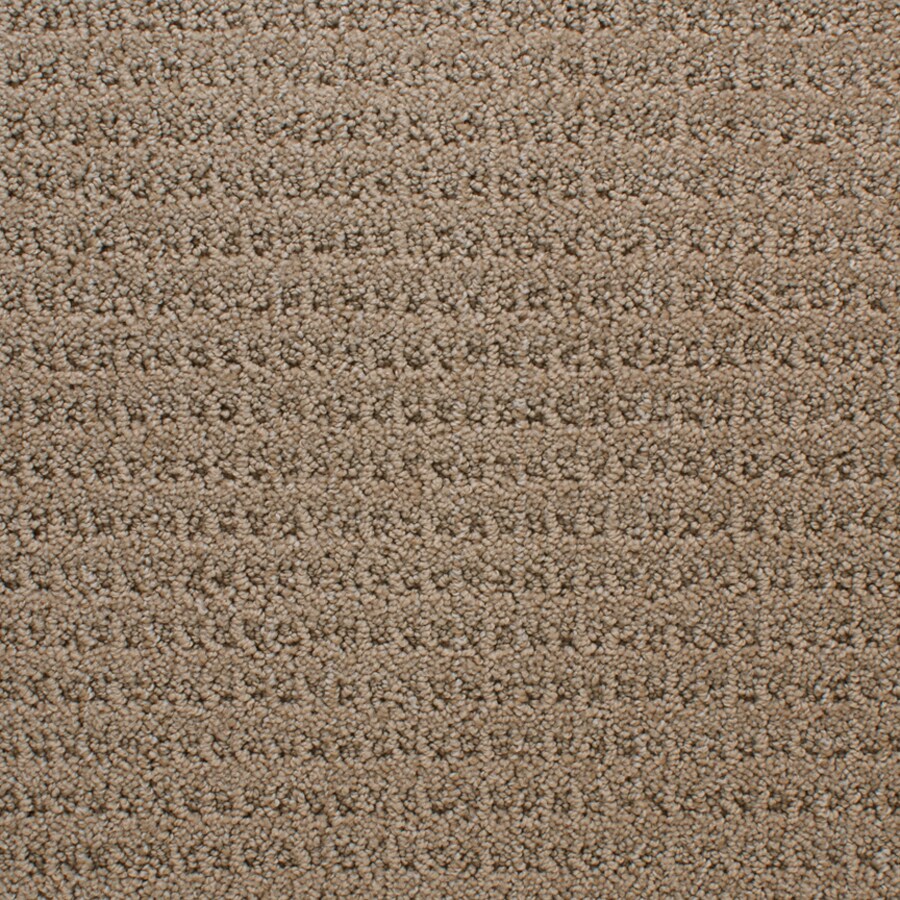 STAINMASTER Active Family Royal Livingstone Brown Level Loop Pile ...