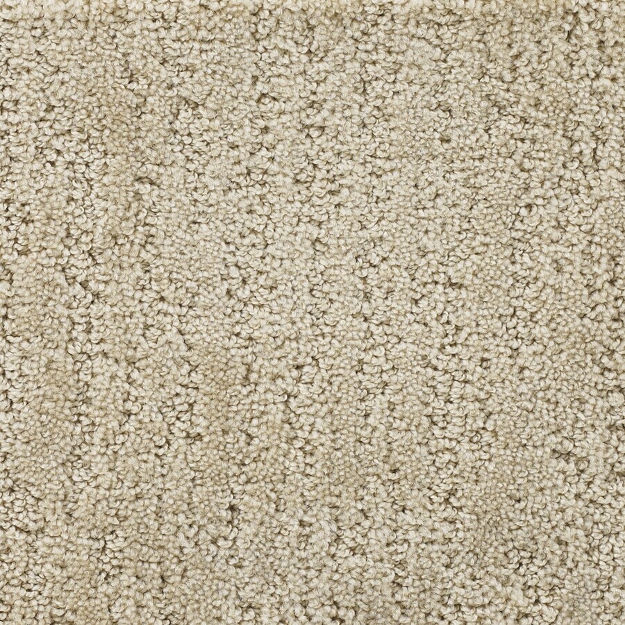 Dixie Group PetProtect Vertigo Cream/Beige/Almond Interior Carpet in ...