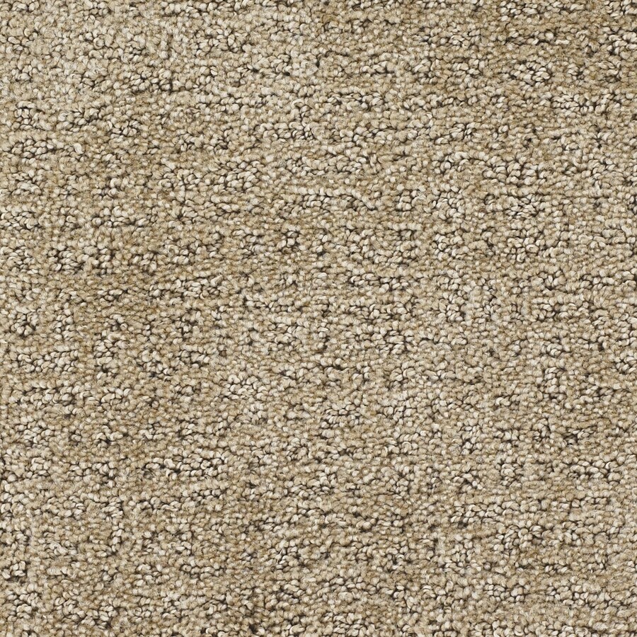Dixie Group PetProtect Terre Rouge Brown/Tan Interior Carpet in the ...