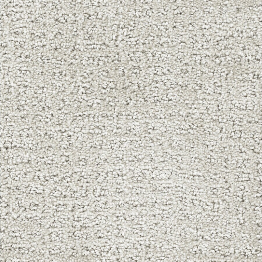 Dixie Group PetProtect Terre Rouge Cream/Beige/Almond Interior Carpet ...