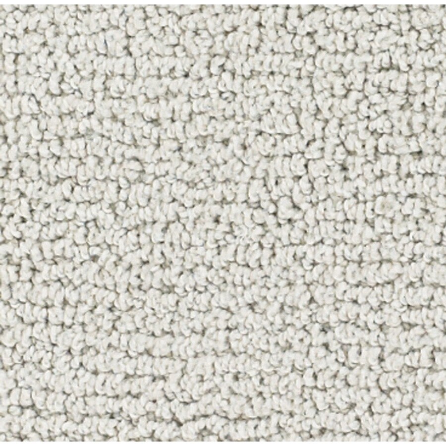 Dixie Group PetProtect Endcap Cream/Beige/Almond Carpet at Lowes.com