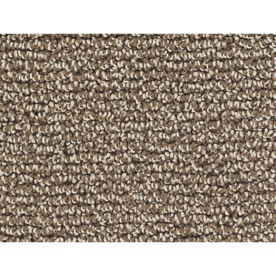 Dixie Group PetProtect Endcap Brown/Tan Carpet at Lowes.com