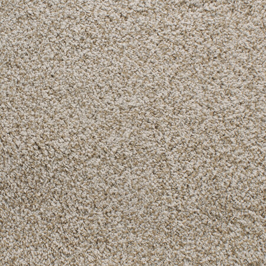 Dixie Group Active Family STAINMASTER Active Family Gallery Cream/Beige ...