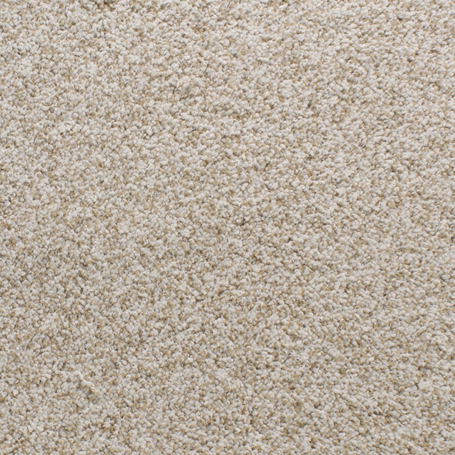 Dixie Group Active Family STAINMASTER Active Family Gallery Cream/Beige ...