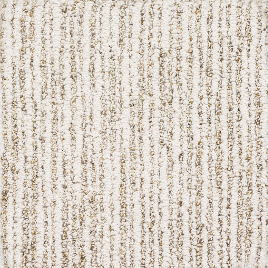 Dixie Group TruSoft STAINMASTER TruSoft Gallery Cream/Beige/Almond ...