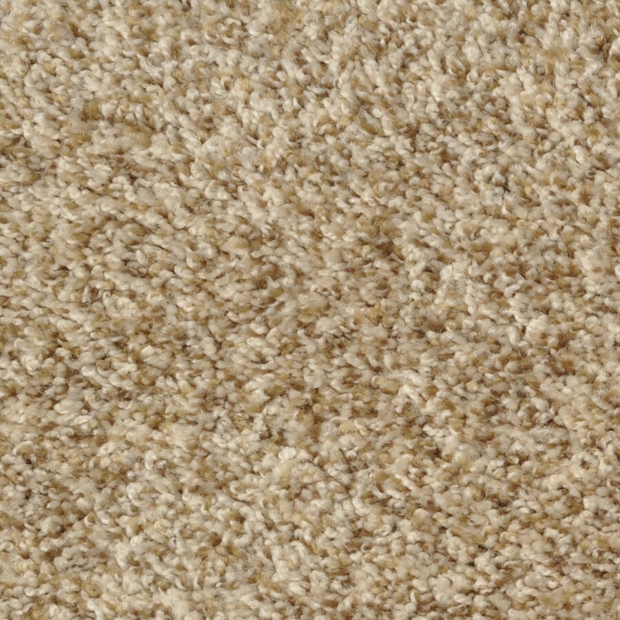 Dixie Group Active Family Pebble Beach Carpet at Lowes.com