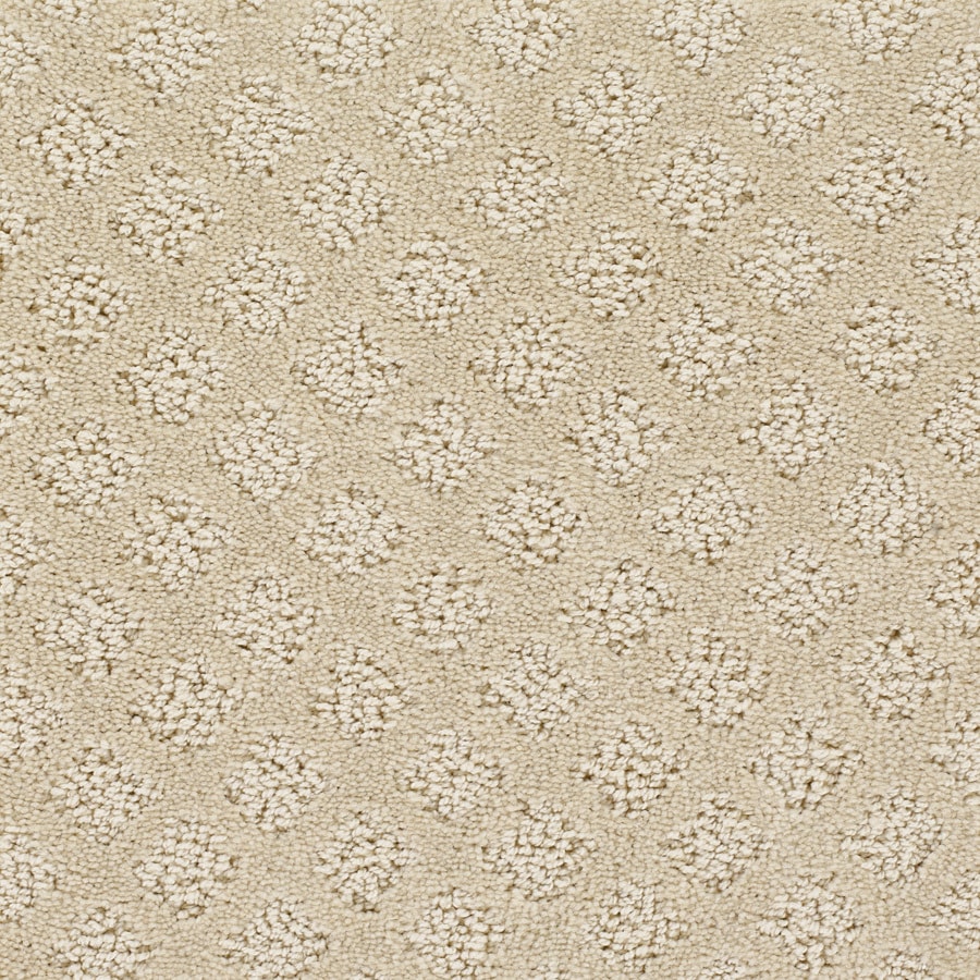 STAINMASTER PetProtect Autumn Fields- Feature Buy 12-ft W x Cut-to ...