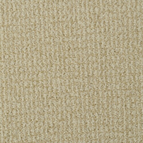 STAINMASTER Morning Jewel Vanilla Beige Pattern Carpet (Indoor) in the ...