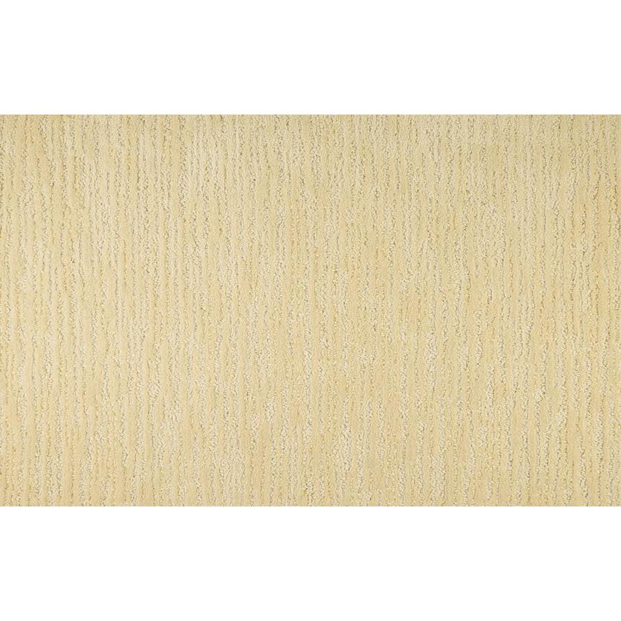 STAINMASTER PetProtect Waterford Way Breathtaking Pattern Carpet Sample ...