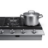 Samsung Premium 5-Burner Gas Cooktop (Stainless Steel) (Common: 30-in ...
