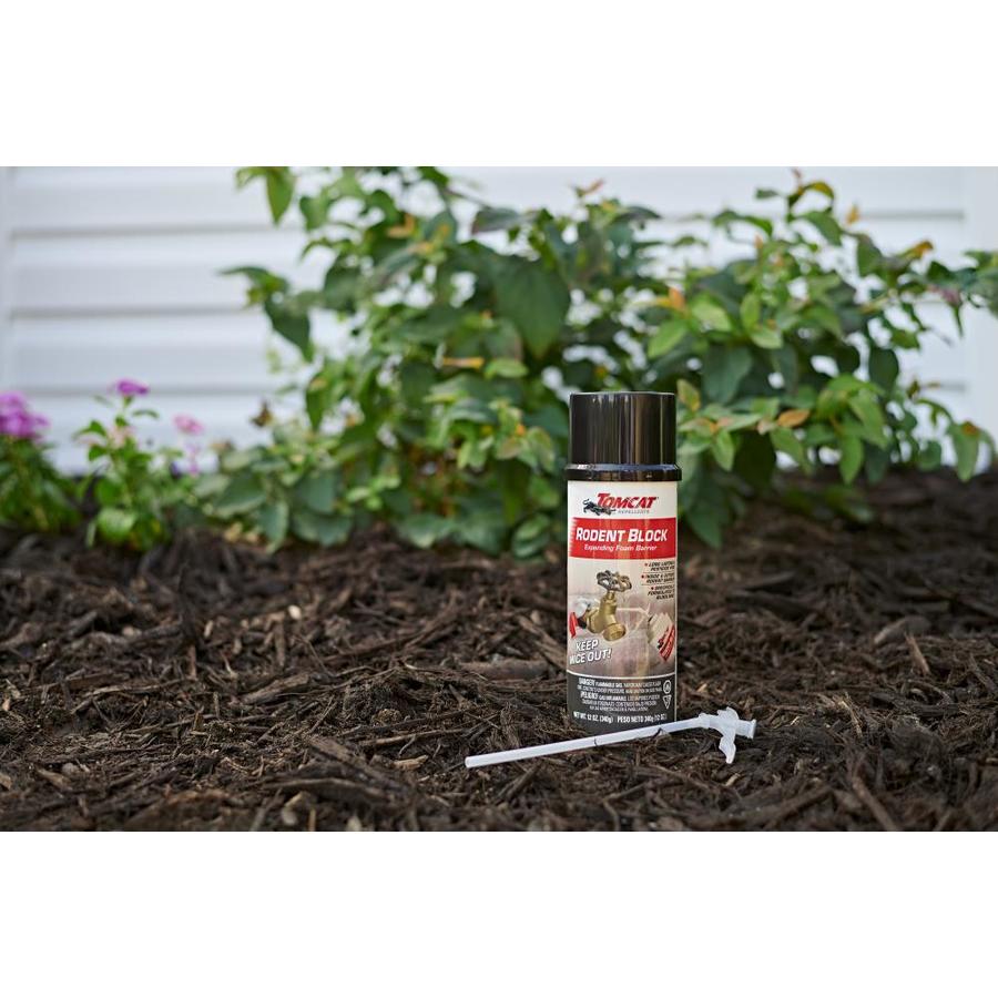 TOMCAT Rodent block expanding foam barrier 12-oz Pest Repeller in the ...